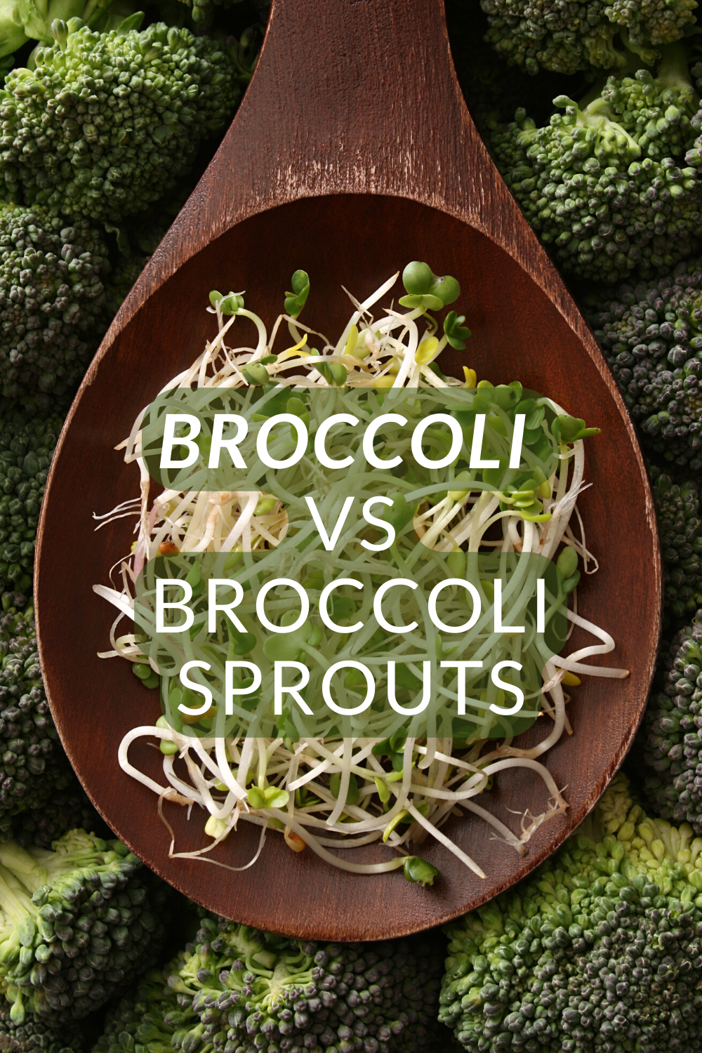 Interesting Info About Broccoli Sprouts Vs Broccolifeed