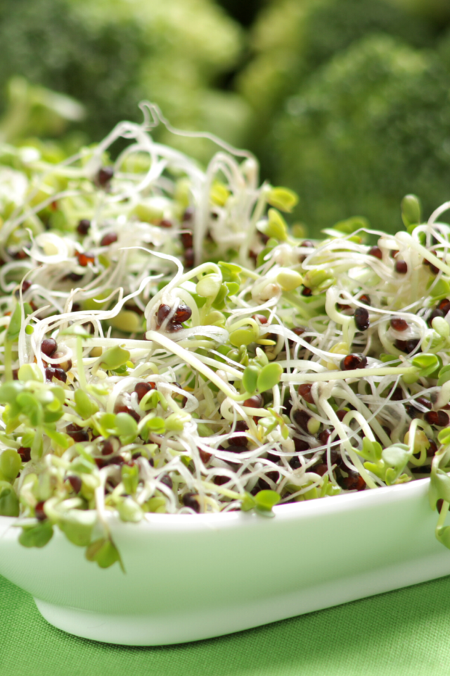 Broccoli Vs Broccoli Sprouts (Which Is Healthier?)