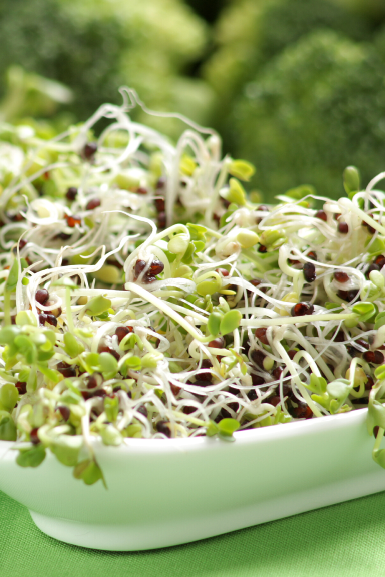Broccoli Vs Broccoli Sprouts (Which Is Healthier?)