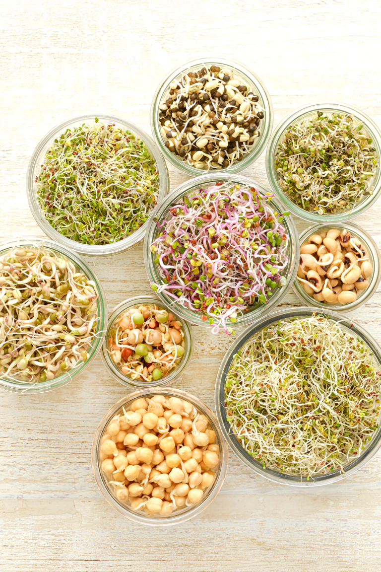 Broccoli Vs Broccoli Sprouts (Which Is Healthier?)