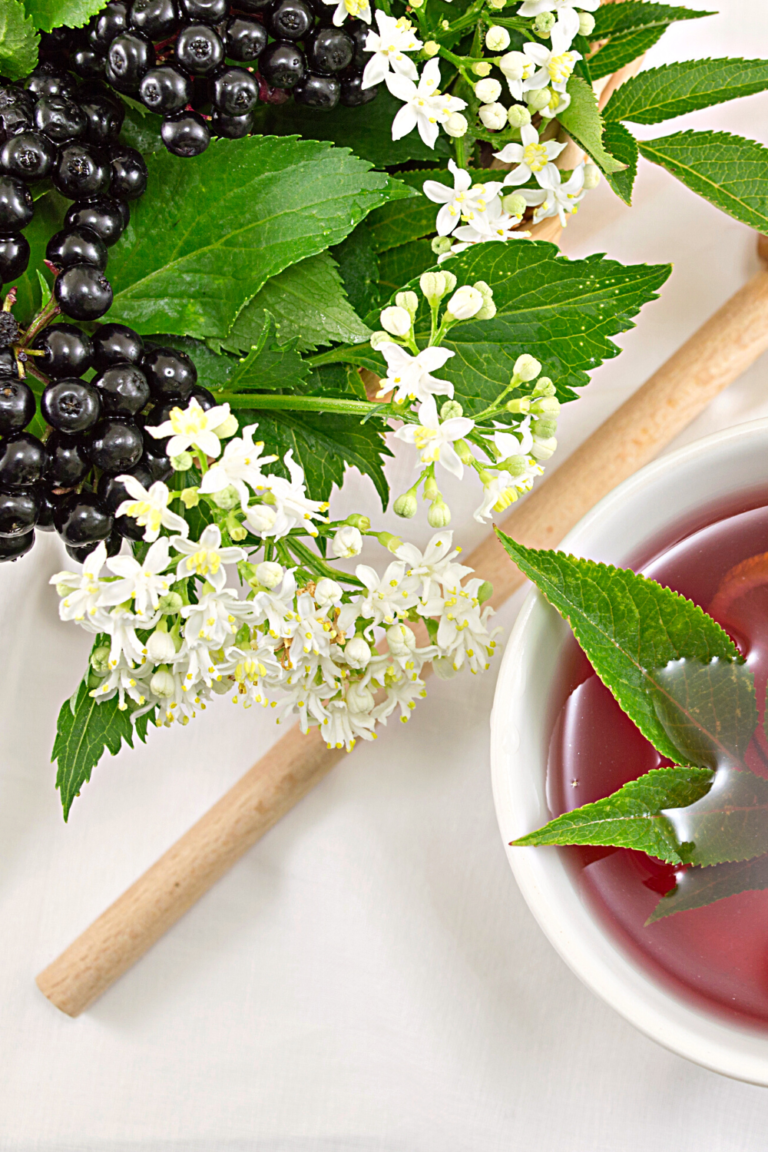 Best Herbal Tea For Colds And Flu