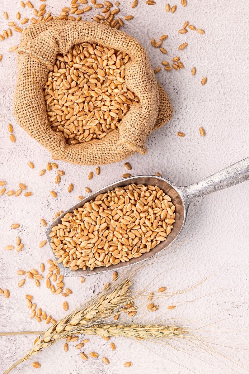 How To Remove Lectins From Lentils And Reap Health Benefits