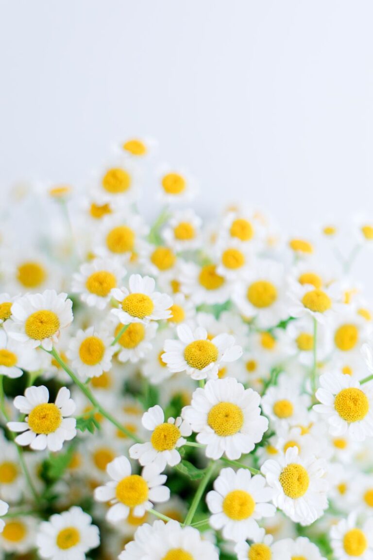 Soothing Chamomile Tea For Fever, Flu, And More
