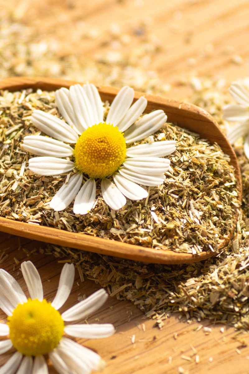 Soothing Chamomile Tea For Fever, Flu, And More