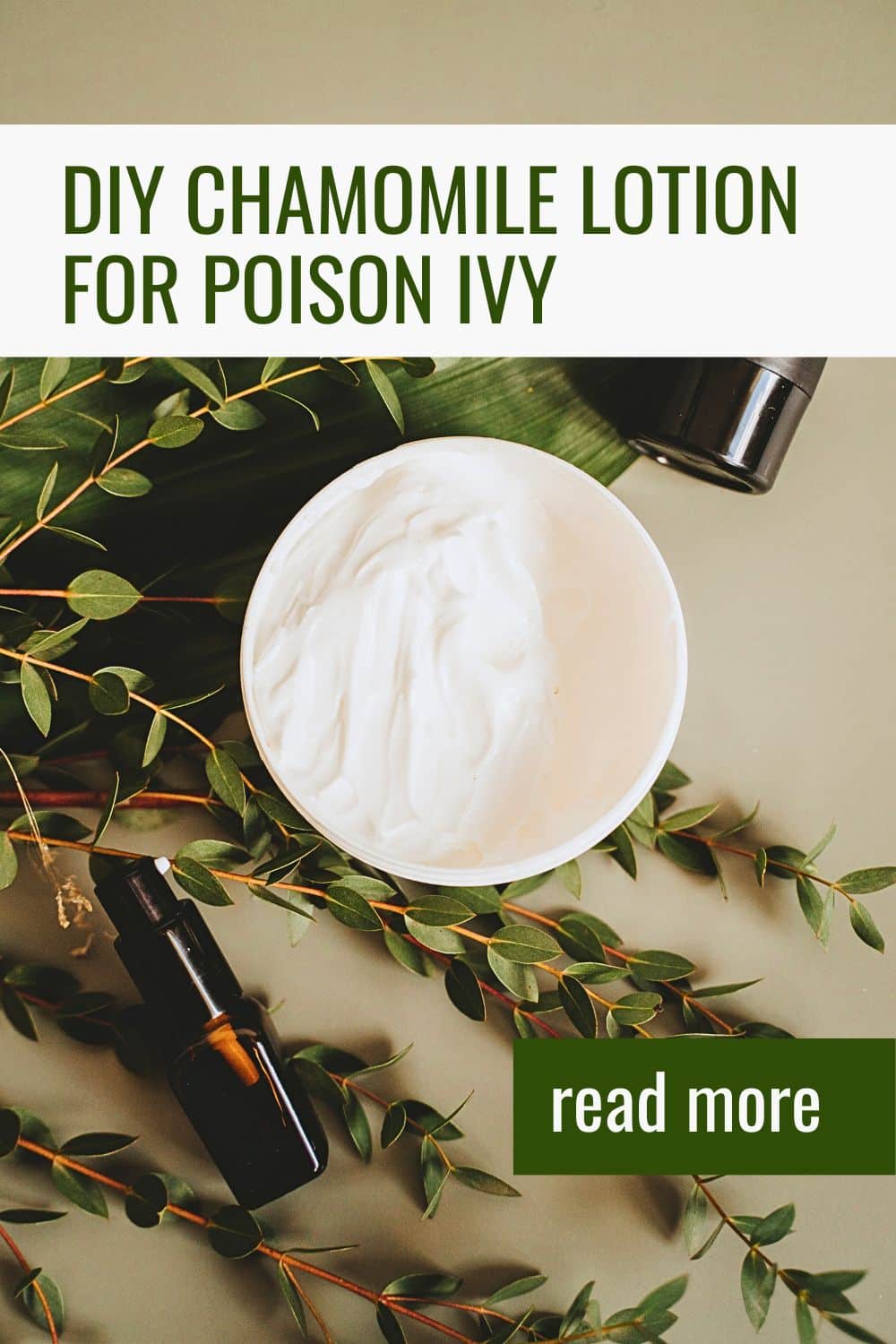 Chamomile Lotion For Poison Ivy: Soothe And Heal Naturally