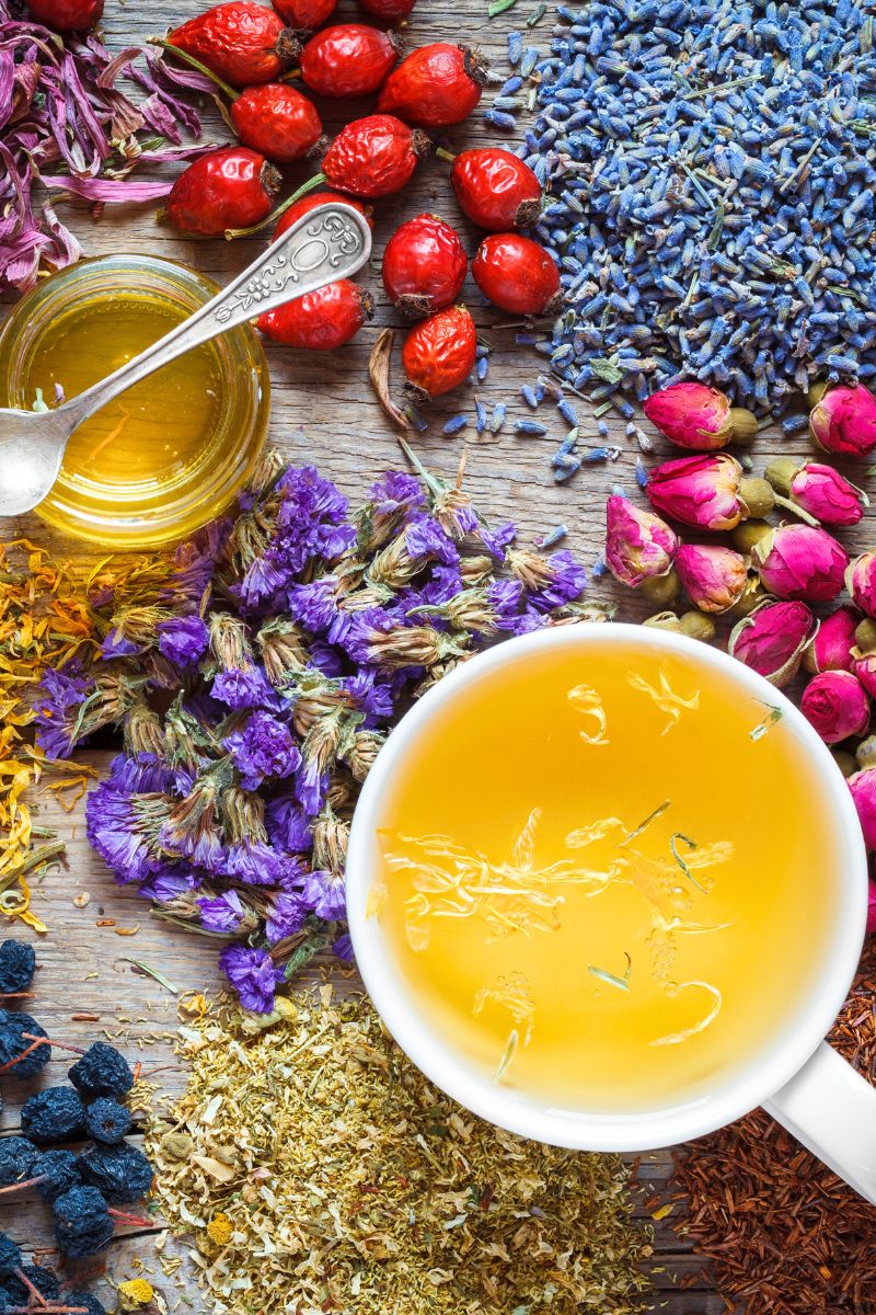 10 Home Remedies To Naturally Get Rid Of Cold Sores (Herbal Remedy For ...