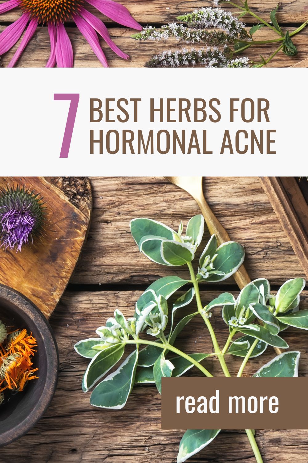 7 Best Herbs For Hormonal Acne (Natural Remedies)