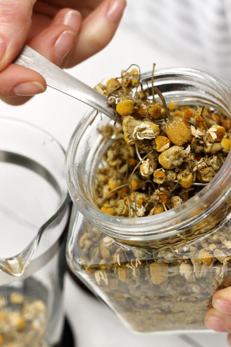Can Herbal Tea Go Bad? How To Store Loose Leaf Tea