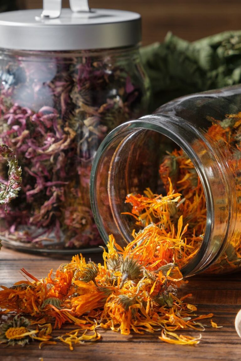 Can Herbal Tea Go Bad? How To Store Loose Leaf Tea