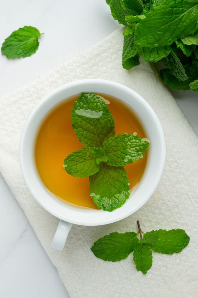 The Best Herbal Tea For Upset Stomach Or Nausea