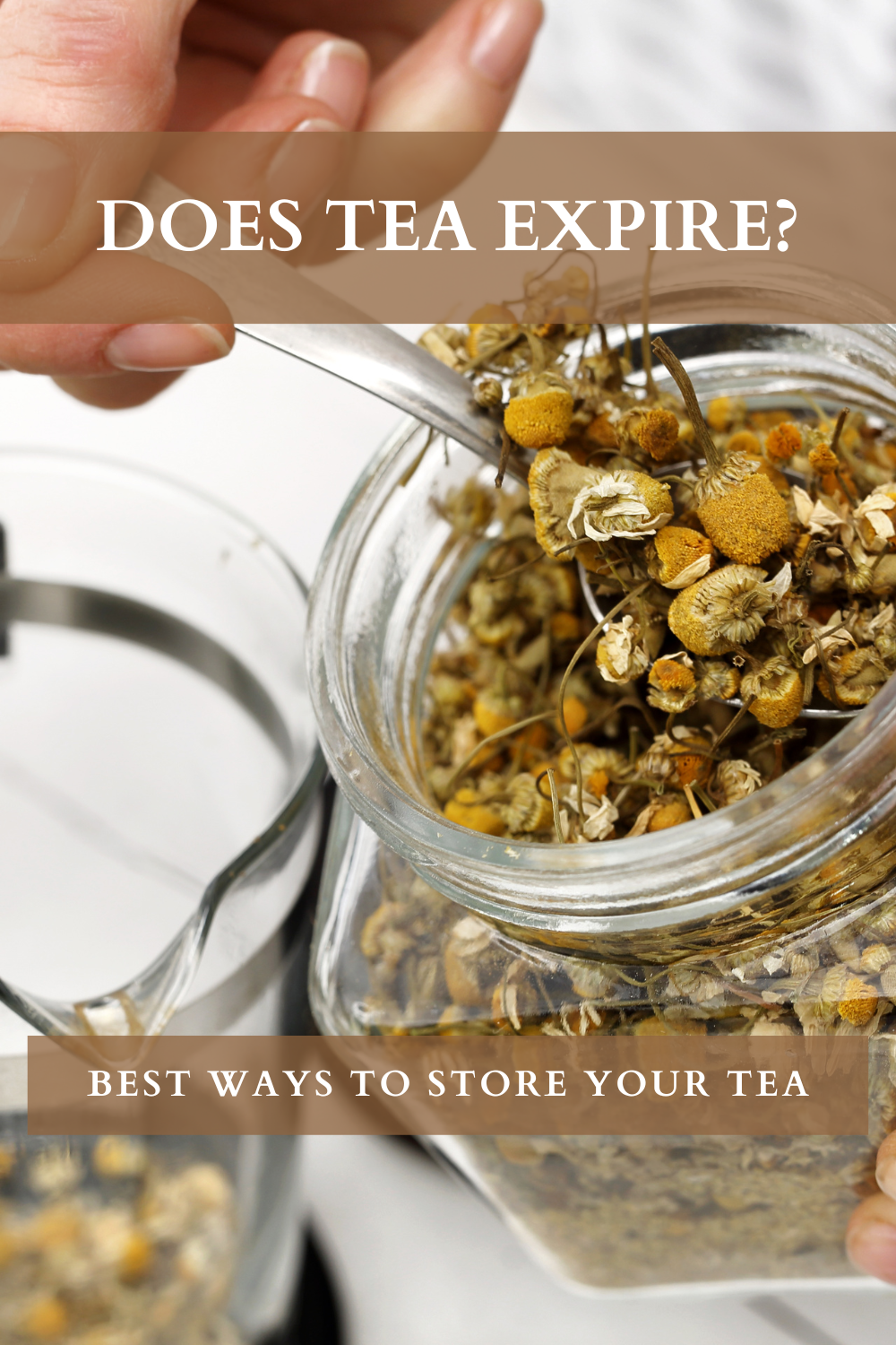 Can Herbal Tea Go Bad? How To Store Loose Leaf Tea