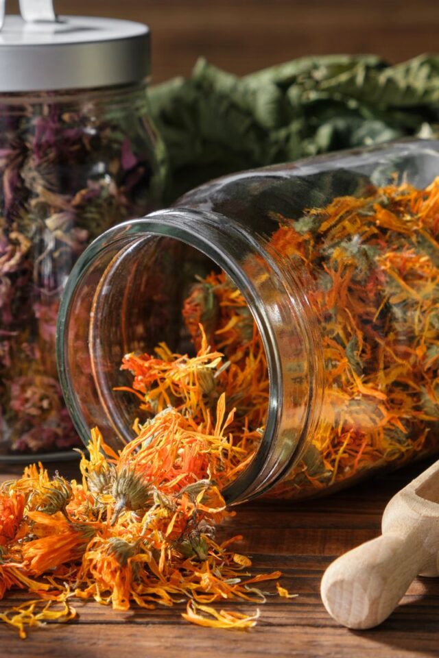 DIY Calendula Salve Recipe (Healing Inflamed Skin)