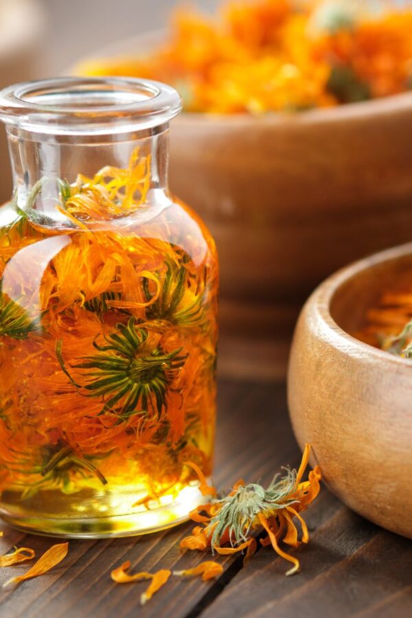 DIY Calendula Salve Recipe (Healing Inflamed Skin)