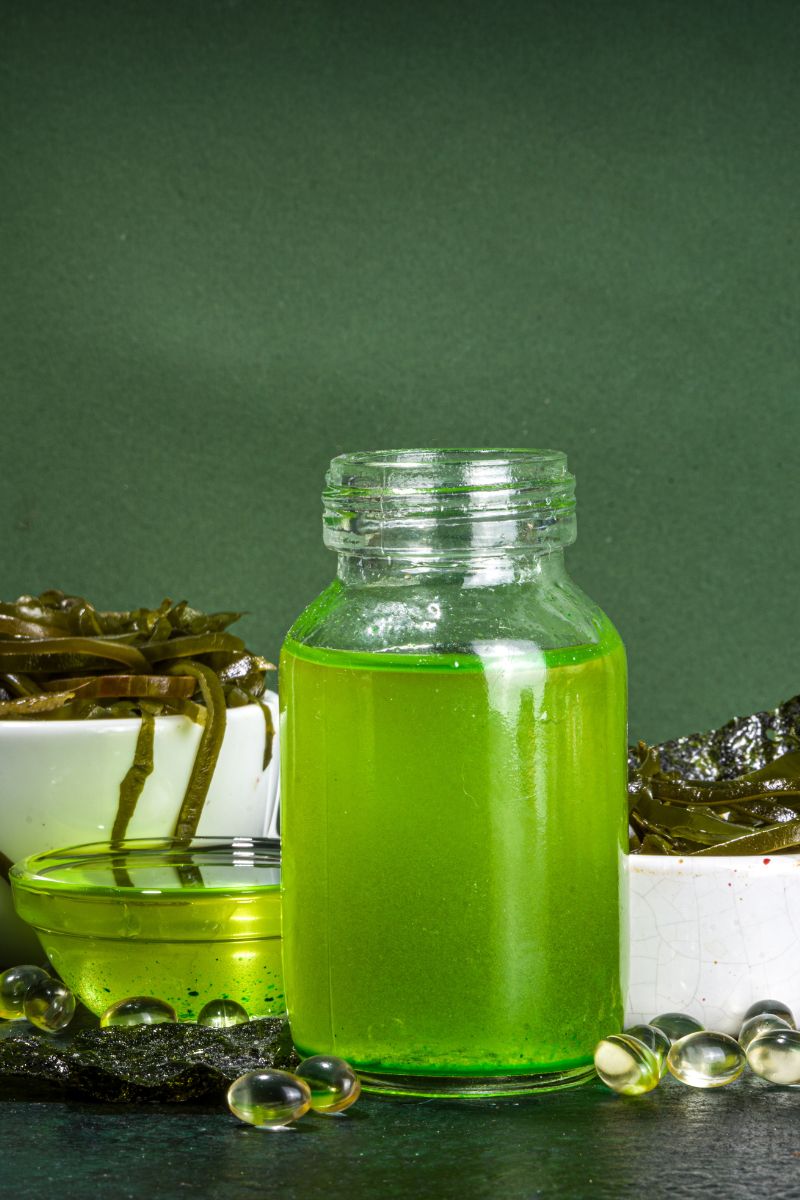 7 Best Algae Supplements In 2023 (Omega, DHA, & EPA)