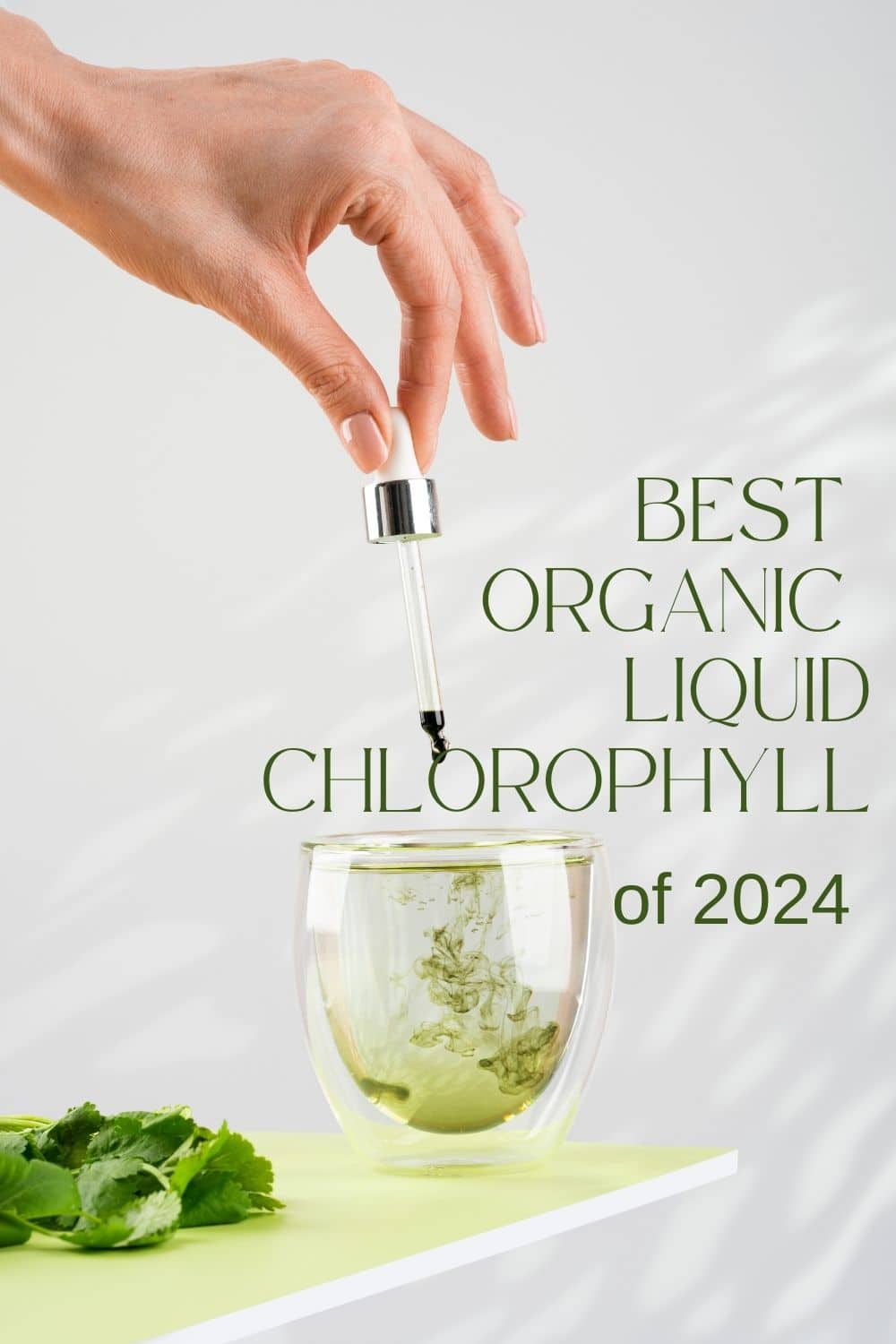 Best Organic Liquid Chlorophyll Supplements In 2024
