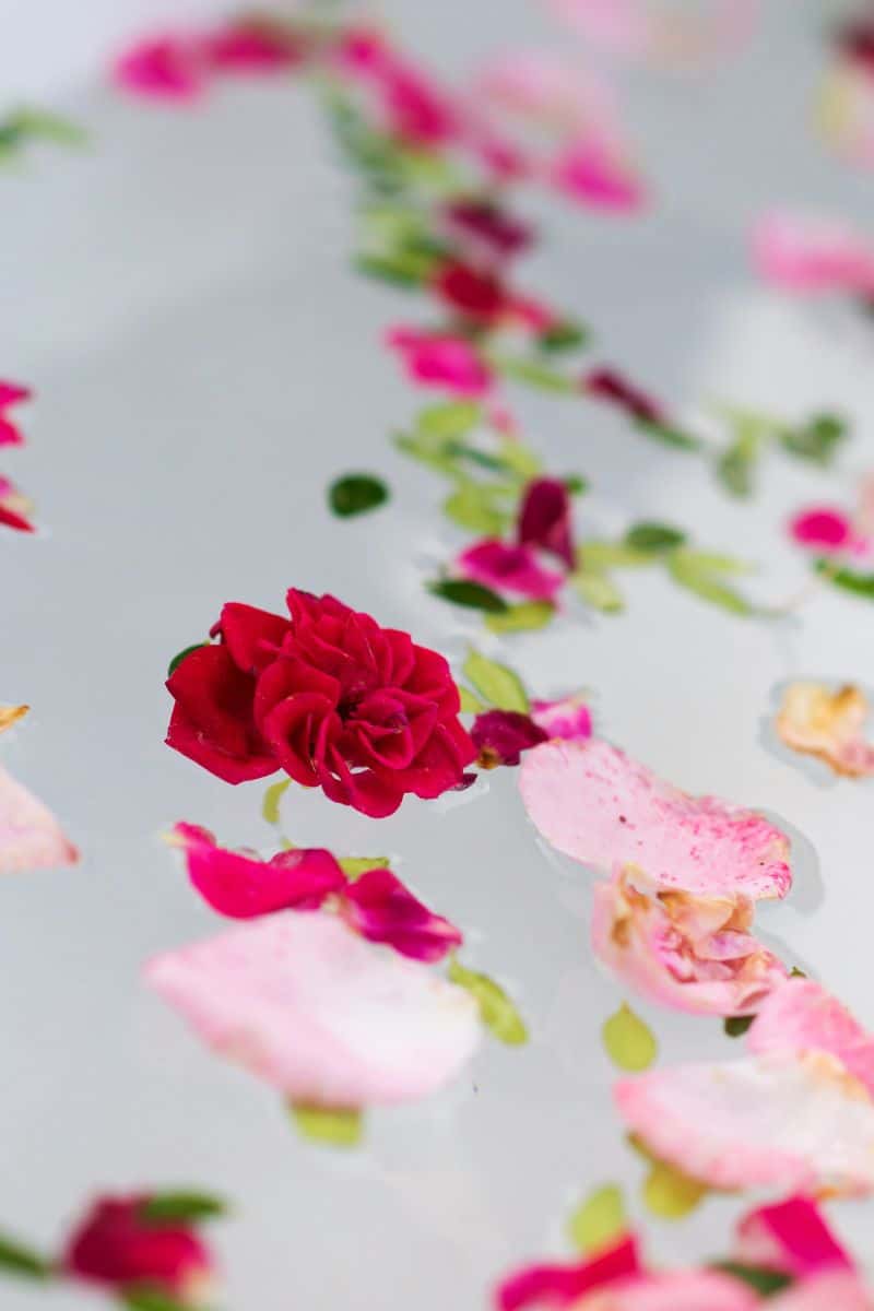 The 5 Best Yoni Steam Herbs For Fertility (With DIY Steams)