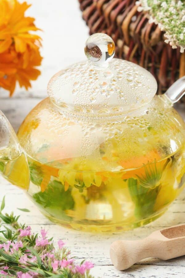 5 Best Herbal Tea For Nausea And Upset Stomach