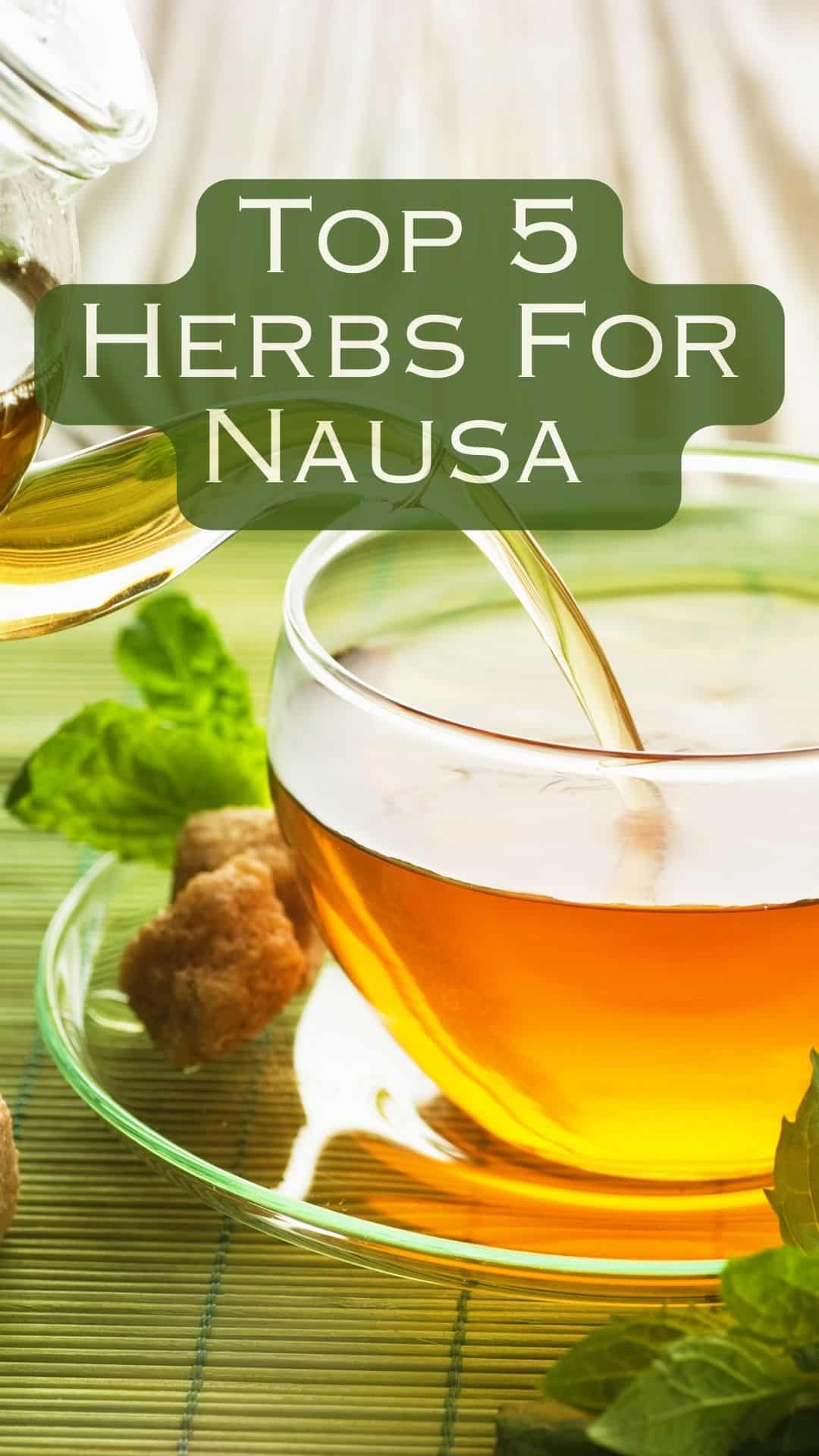 5 Best Herbal Tea For Nausea And Upset Stomach