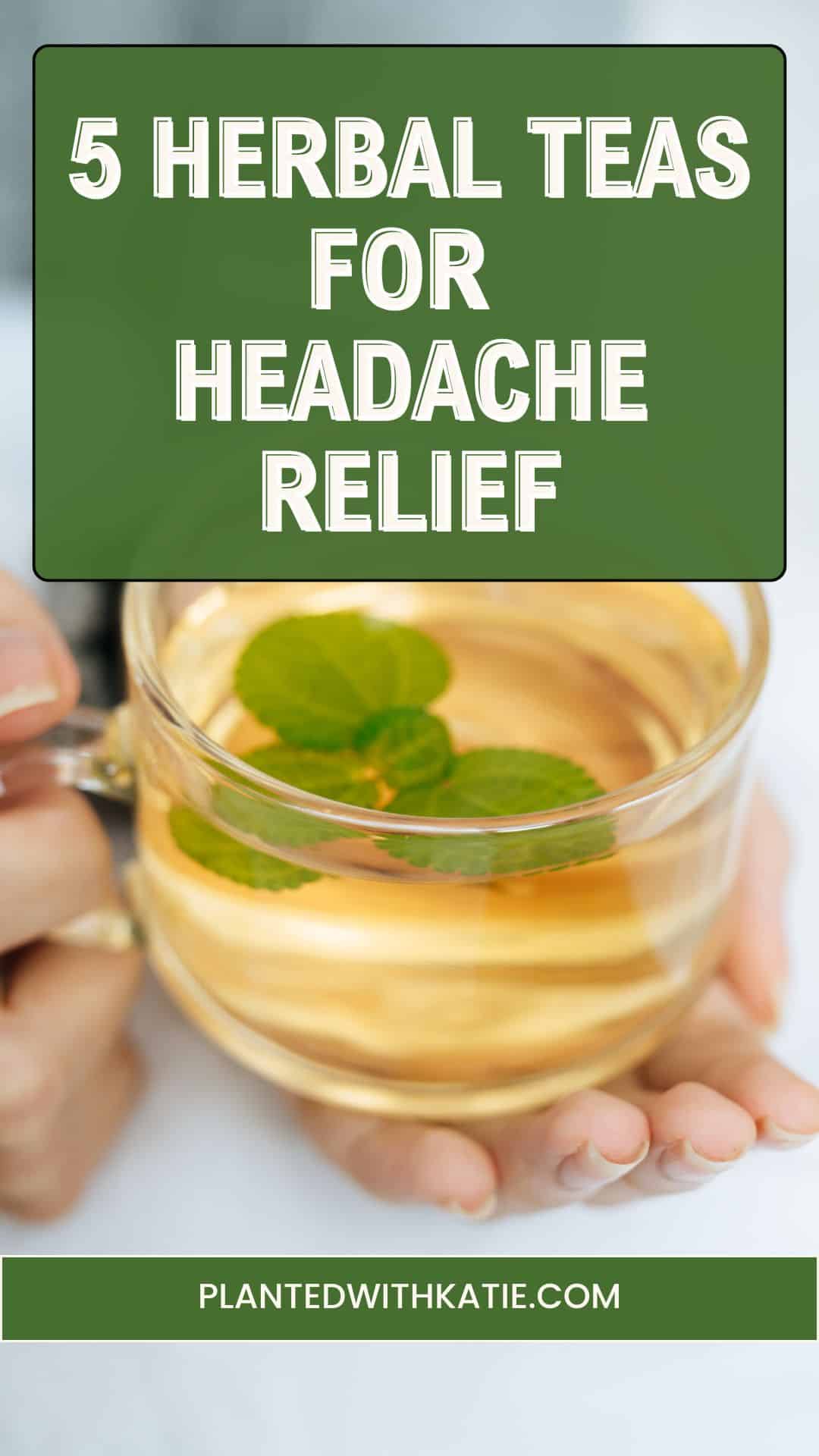Best Herbal Tea For Headaches And Migraine Relief