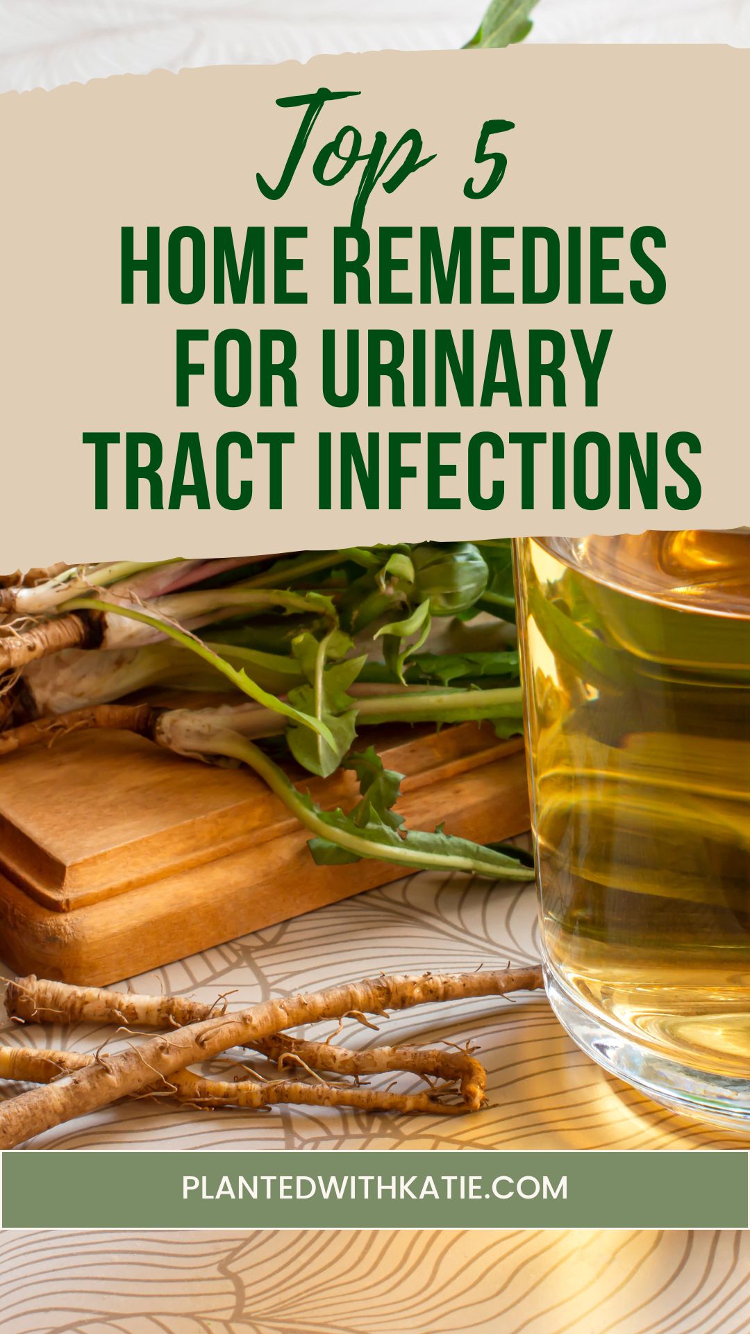 Top 5 Home Remedies To Relieve UTI Pain