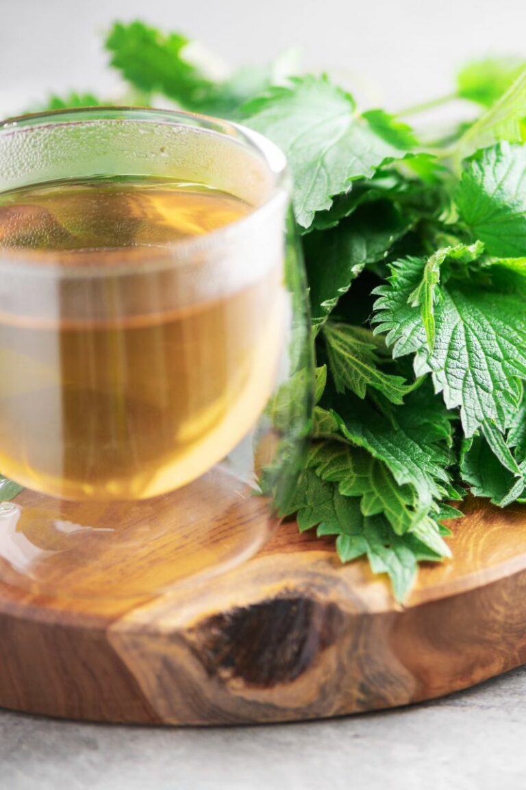 Is Nettle Tea Safe During Pregnancy (Side Effects)