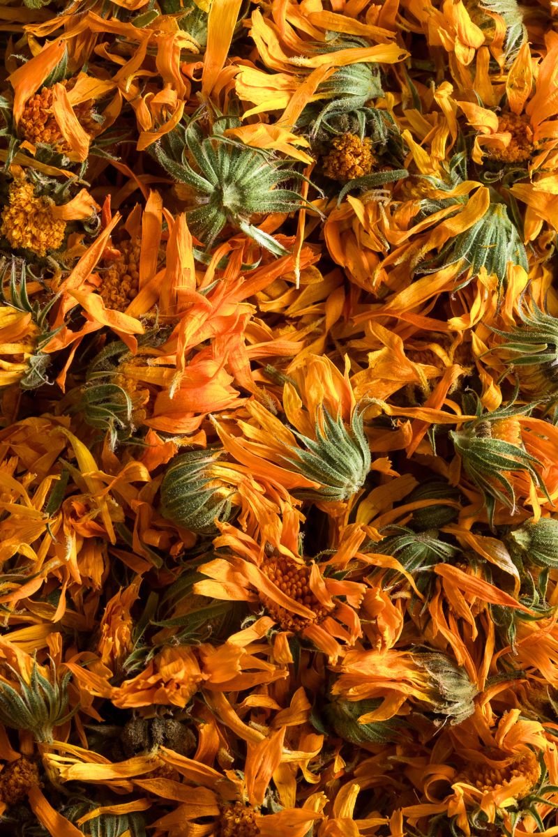 7 Health Benefits Of Calendula + How To Use It