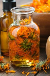 7 Health Benefits Of Calendula + How To Use It