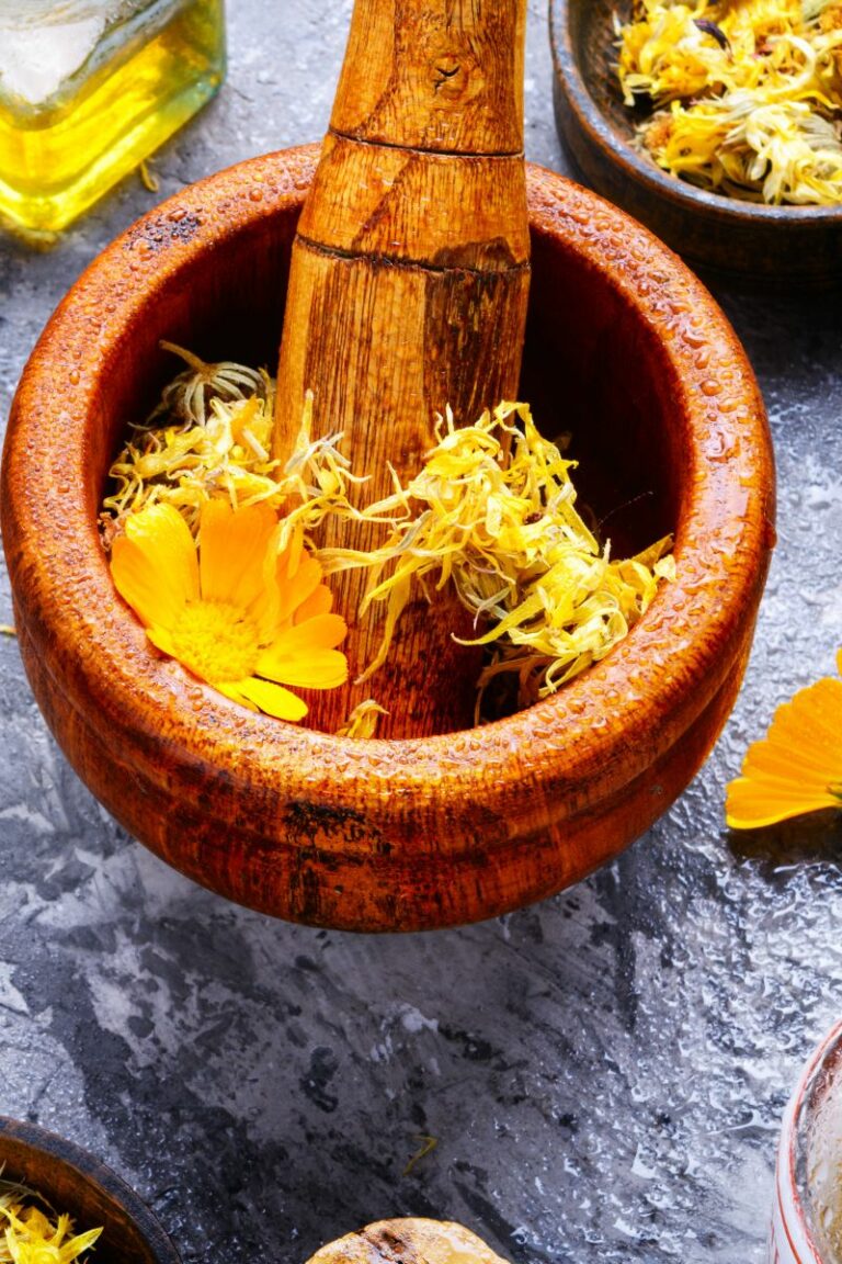 7 Health Benefits Of Calendula + How To Use It