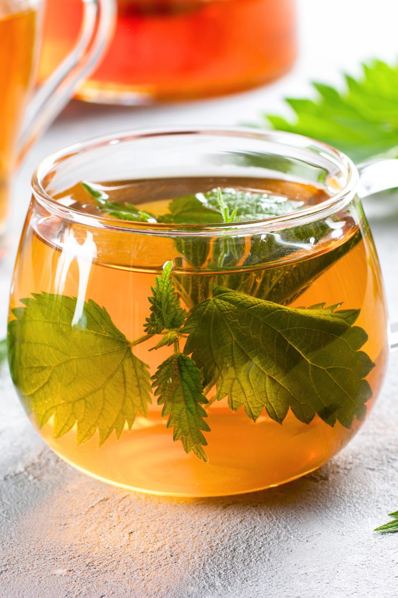 Is Nettle Tea Safe During Pregnancy (Side Effects)