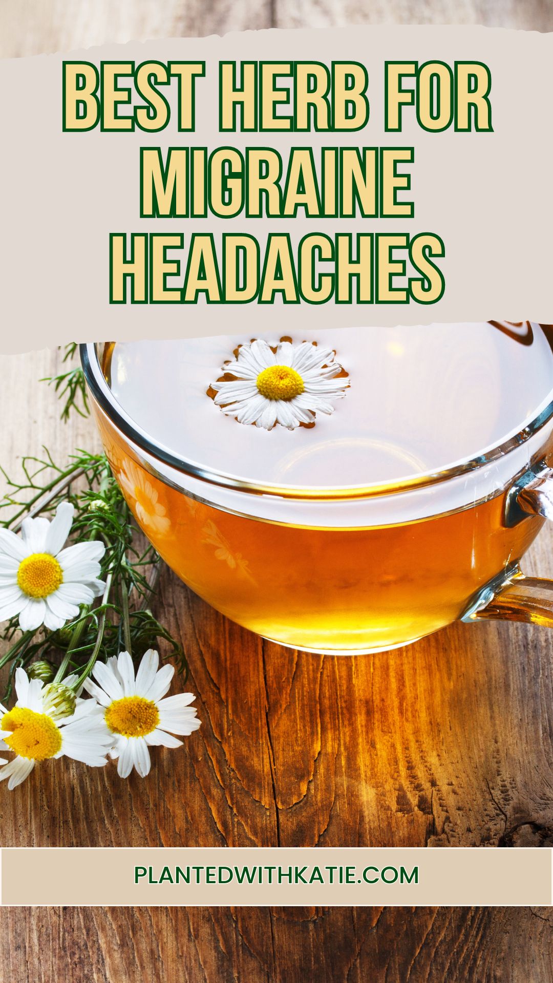 Chamomile Tea For Migraine Headaches: Natural Relief
