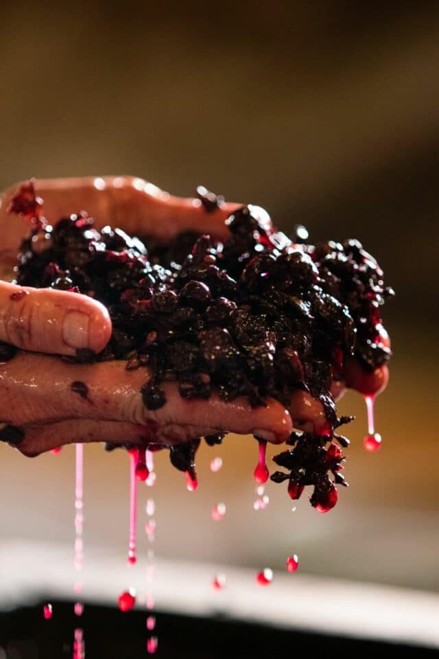 Blueberry Mead Recipe (Delicious Homemade Honey Wine)