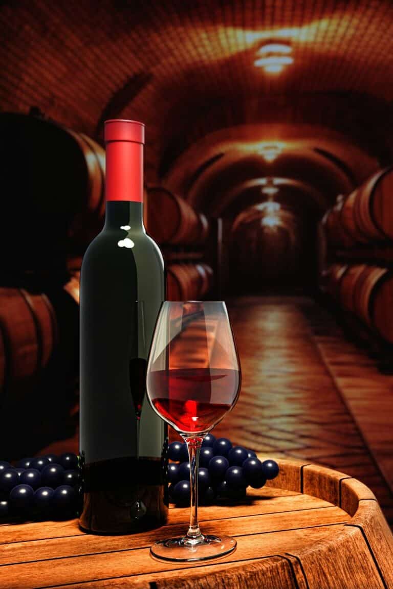 Blueberry Mead Recipe (Delicious Homemade Honey Wine)