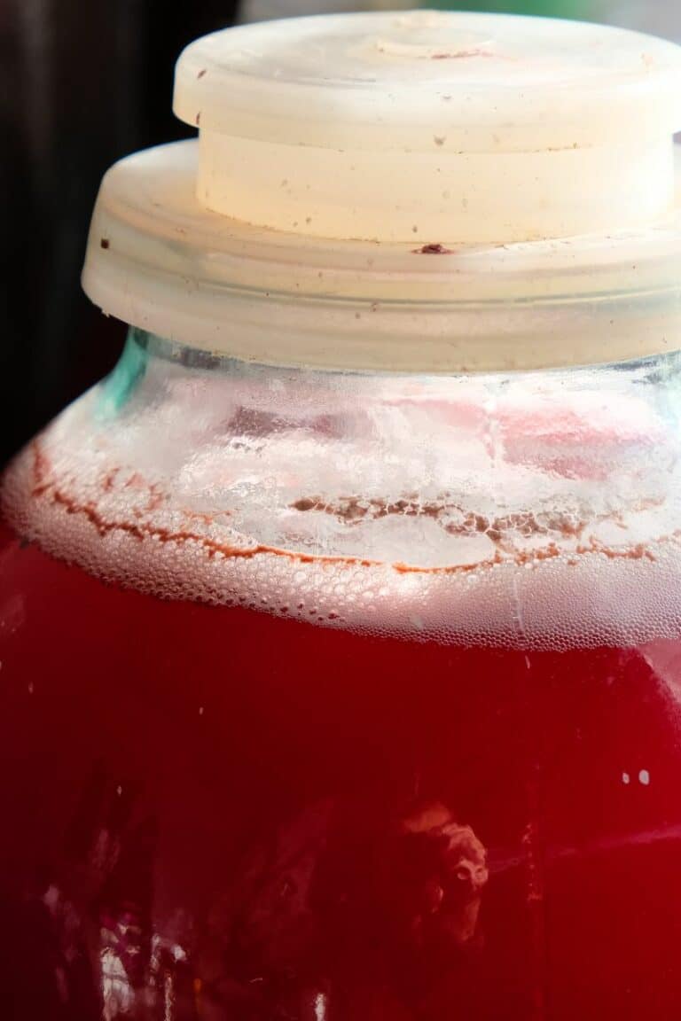 Blueberry Mead Recipe (Delicious Homemade Honey Wine)