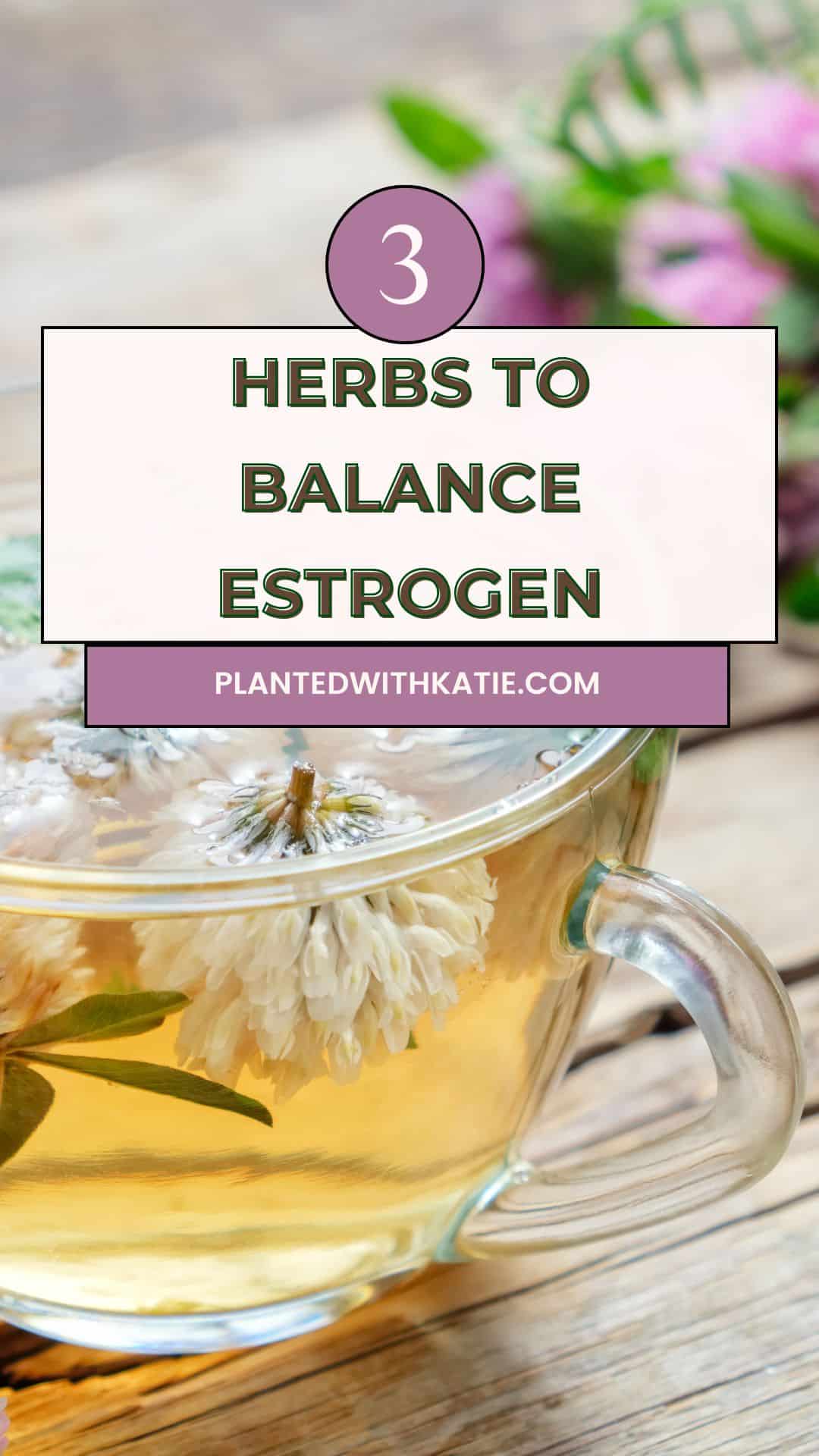 3 Best Herbs For Balancing Estrogen Levels Naturally