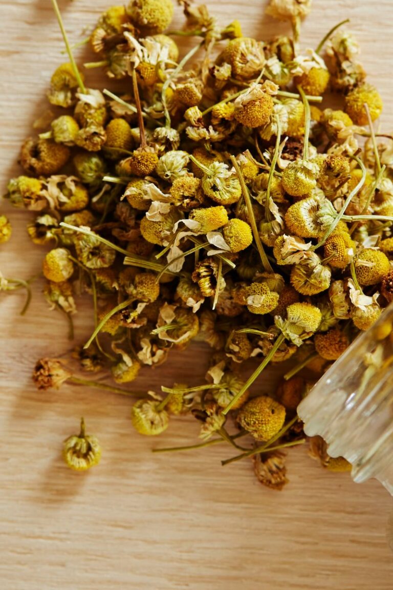 Top 5 Natural Stomach Bug Home Remedies